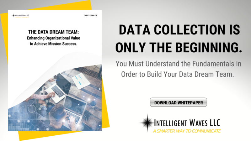 Download Intelligent Waves LLC's Data Dream Team Whitepaper